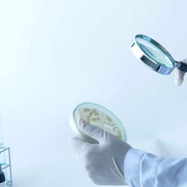 Microbiology Test - Certified Cosmetics